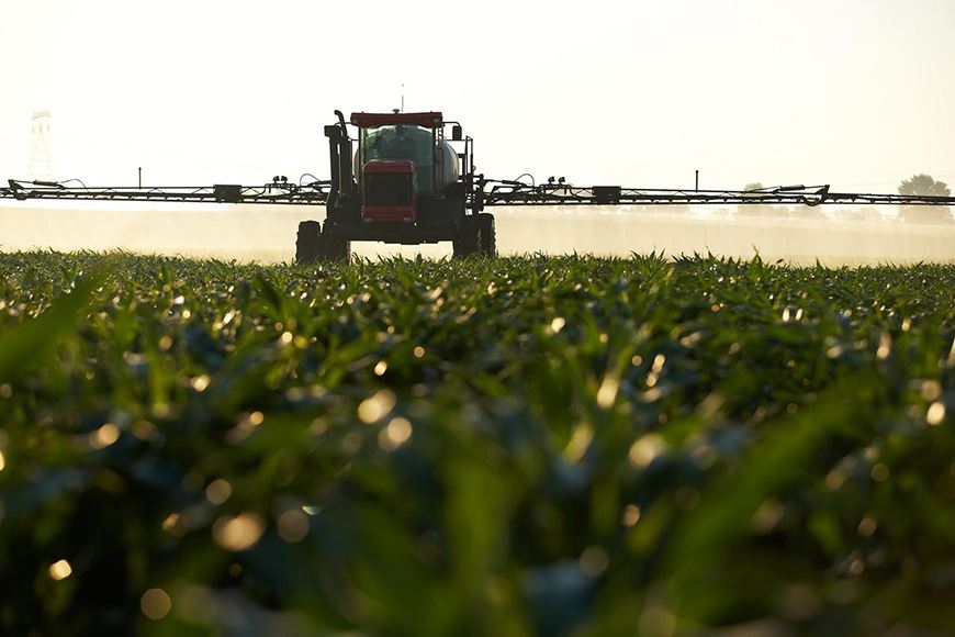 Agronomic Technology | Precision Ag | AccuField® | GreenPoint Ag - GreenPoint Ag