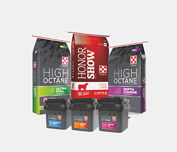 Purina Honor Show Supplements - Key Cooperative