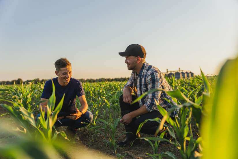 Your Trusted Agricultural Retailer for Agronomy, Energy, Feed and Grain ...