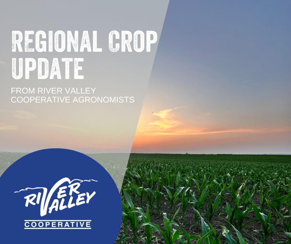 Regional Crop Update 6/25 - River Valley Cooperative