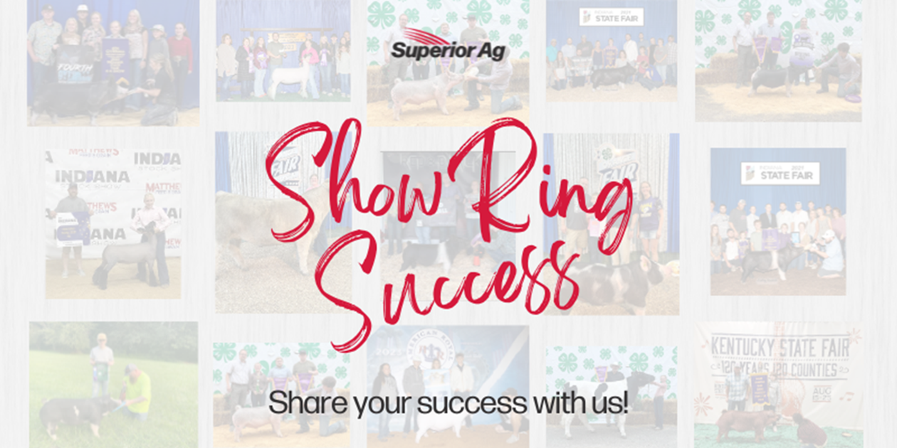 Show Ring Success - Superior Ag