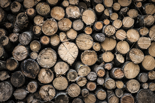 The Art of Wood Stacking | Rural Lifestyle News