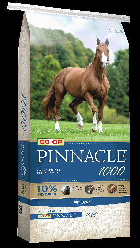 Livestock Feed Products livestock-feed-products