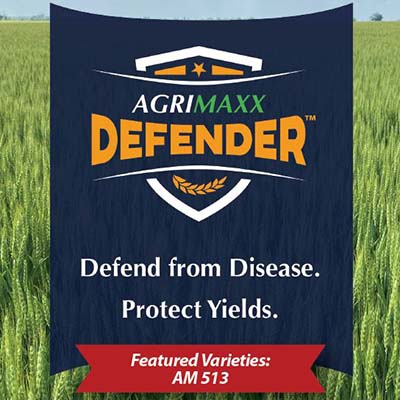Agronomy | Crop Production | Crop Protection | Financing - The Equity