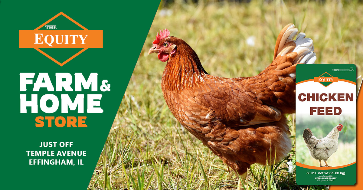 Equity Elite Chicken Layer 16% - Mini Pellets | The Equity Feed Catalog ...