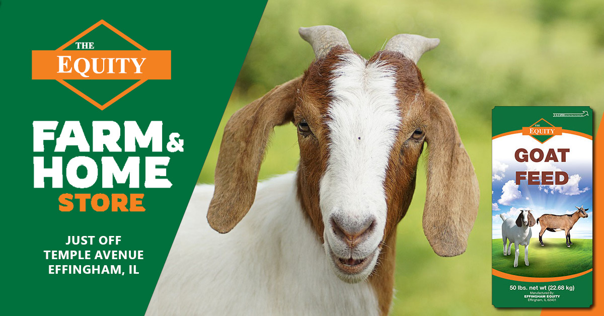 Equity Elite Goat Grower 18% R20 | The Equity Feed Catalog - The Equity