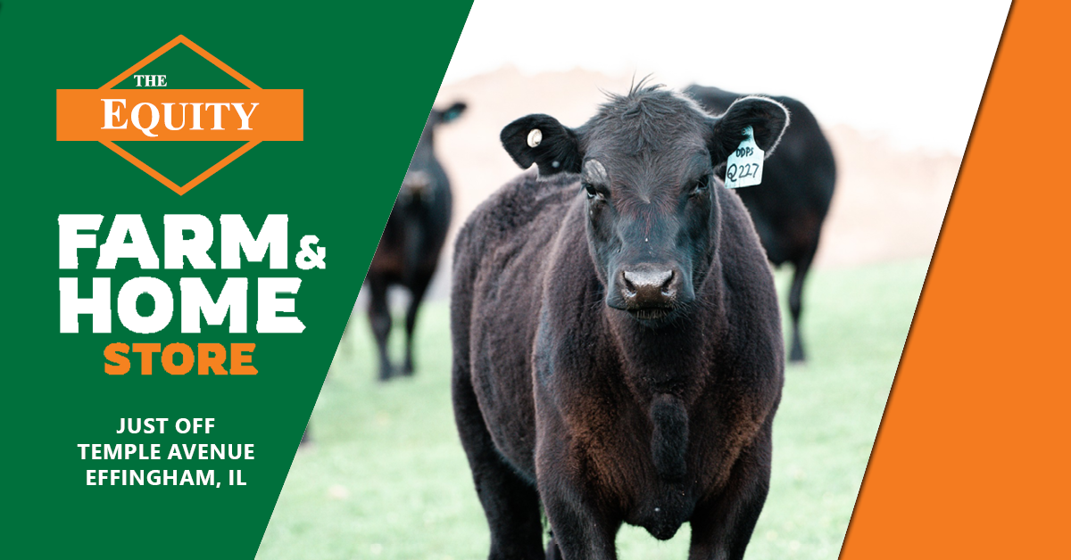 Beef Feed | The Equity Feed Catalog - The Equity