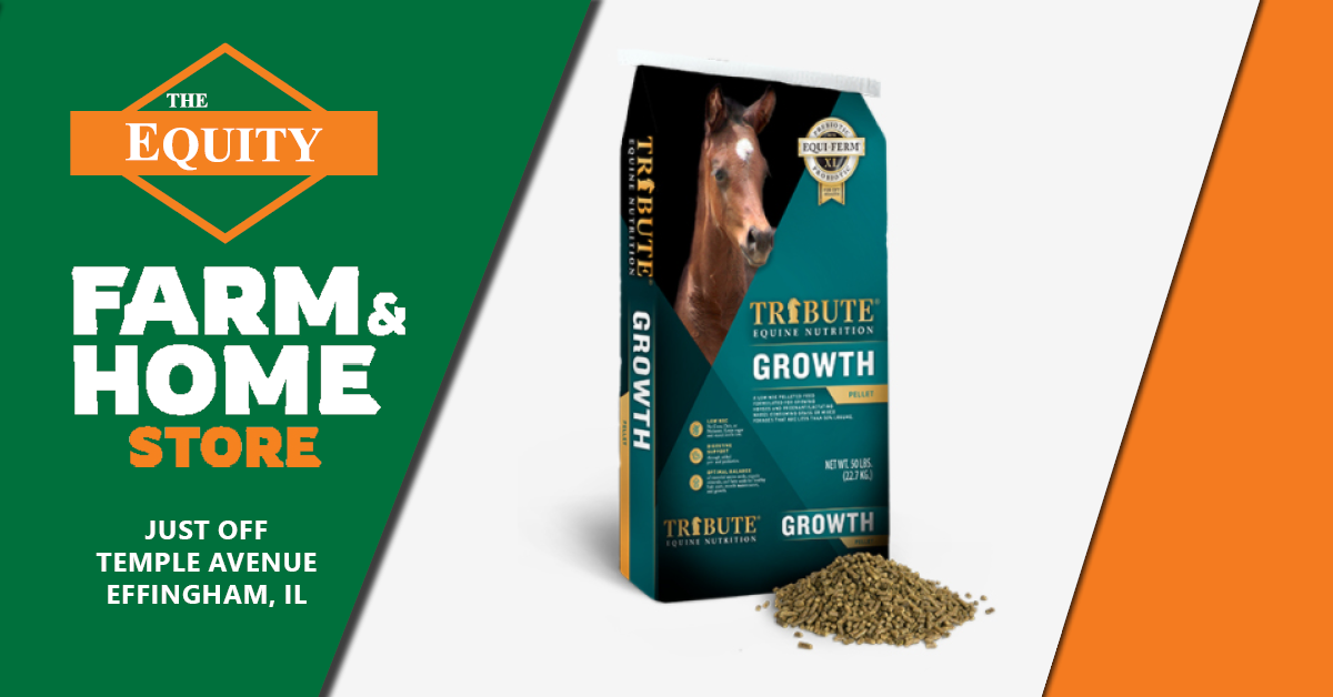 Tribute® Growth | The Equity Feed Catalog - The Equity