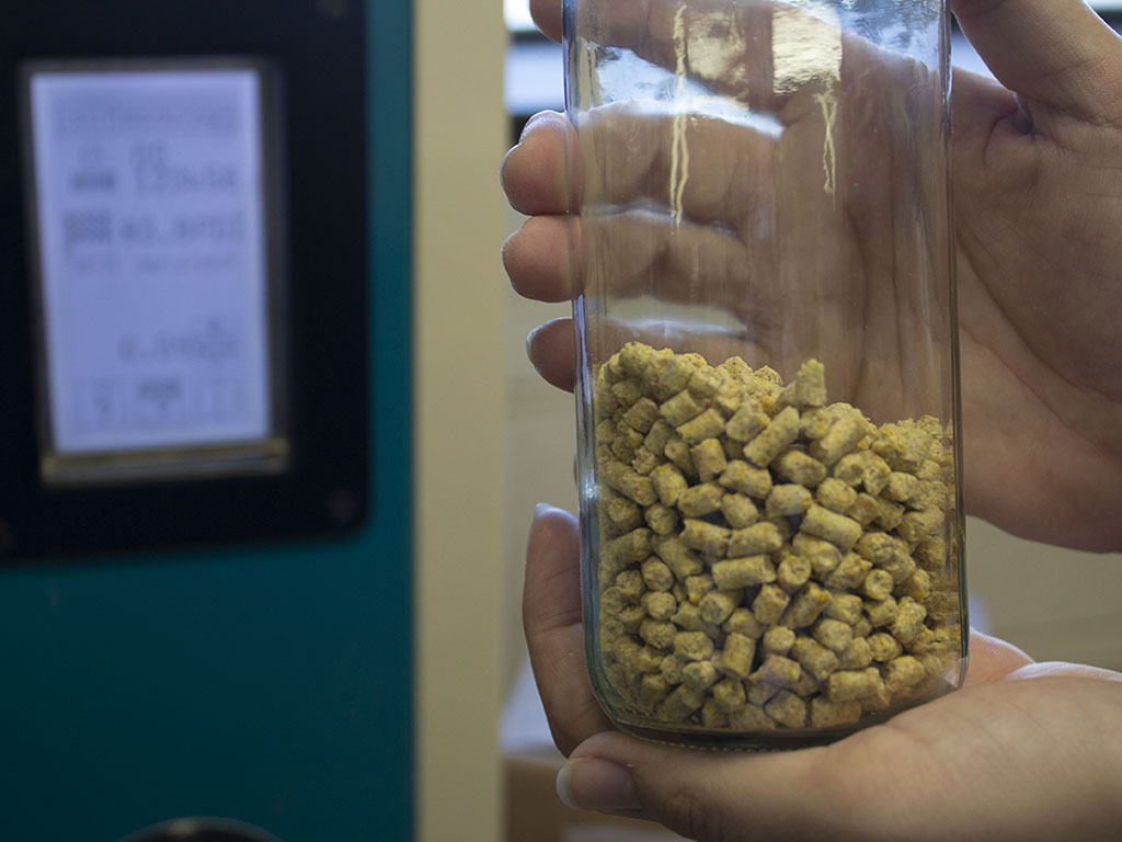 Feed | Animal Nutrition & Health | The Equity - The Equity