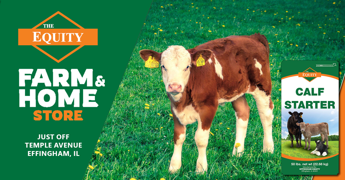 Equity Elite Calf Grower Complete 16 | The Equity Feed Catalog - The Equity