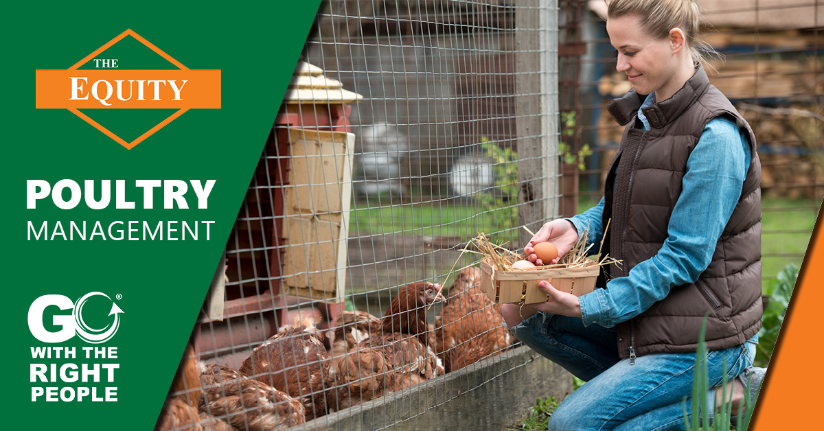 Poultry | Livestock Management | The Equity - The Equity